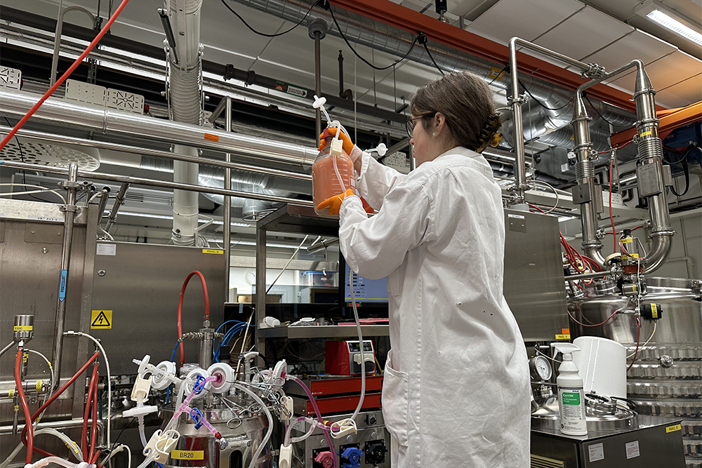 KTH-forskare gör framsteg i cellodling | KTH